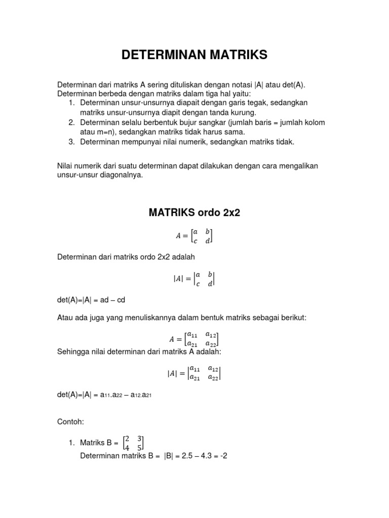 Determinan Matrik | PDF