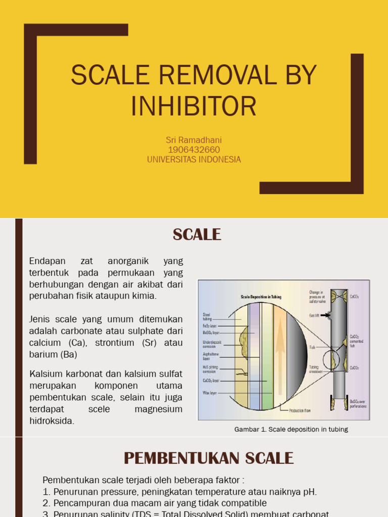 Sri R - SCALE REMOVAL BY INHIBITOR | PDF