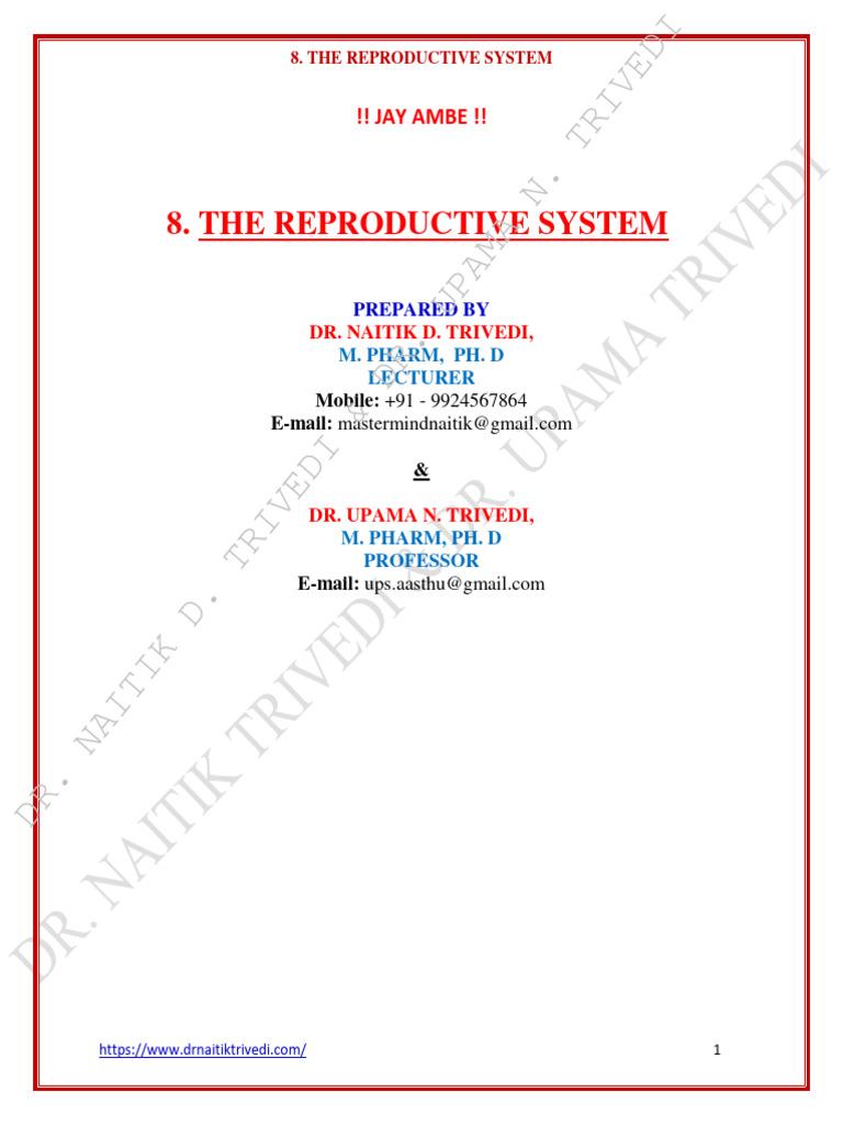 Reproductive System | PDF | Menstrual Cycle | Ovary