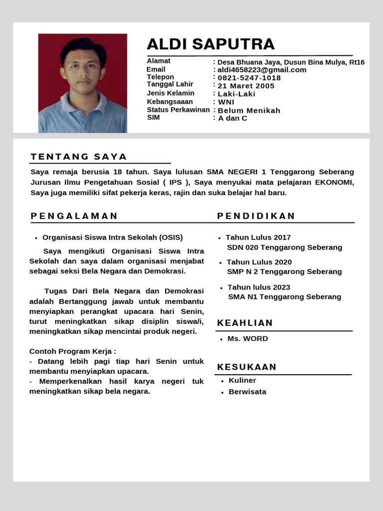 CV Aldi Saputra | PDF | Kesehatan Holistik