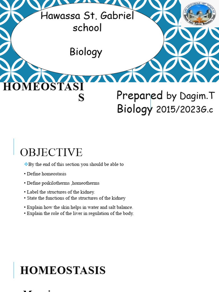 Understanding Homeostasis in Biology | PDF | Thermoregulation | Kidney