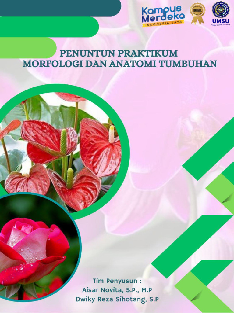 Panduan Praktikum Morfologi Tumbuhan | PDF