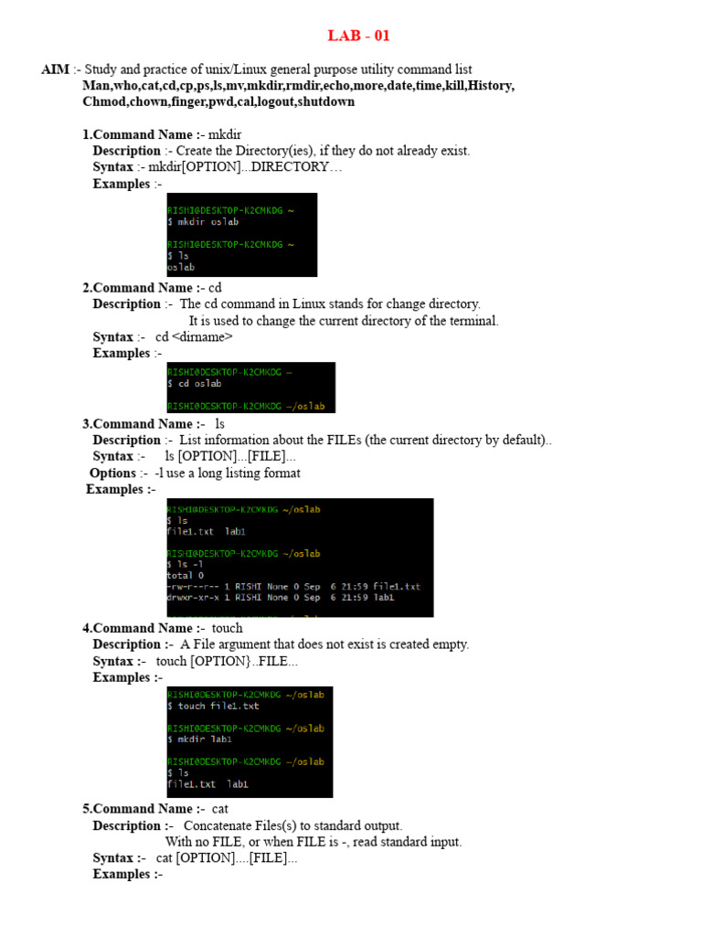 Os Lab - 1 | PDF | Computer File | Computer Science