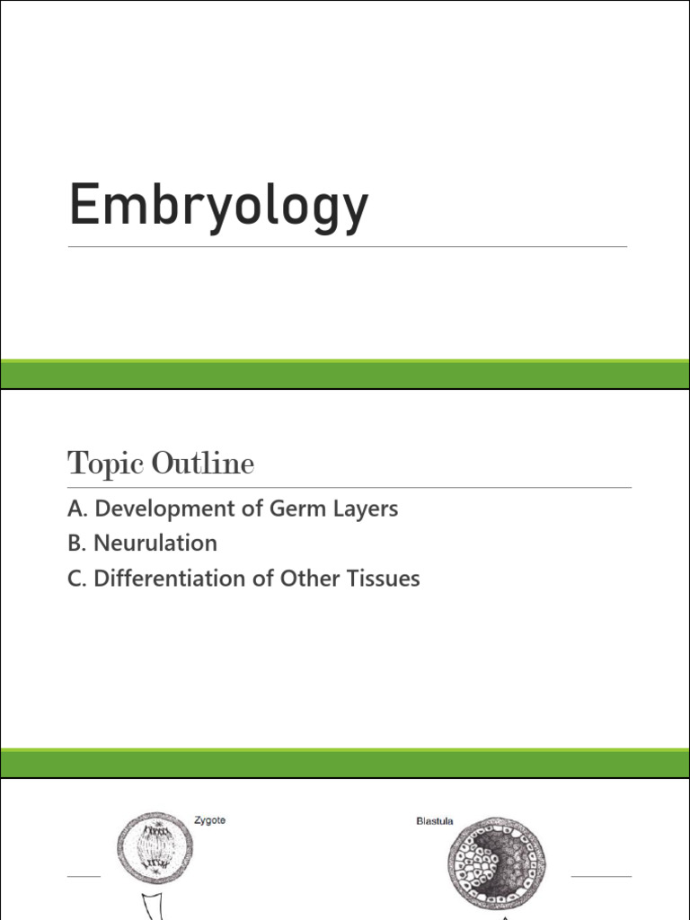 3 Embryology | PDF | Embryo | Reproduction