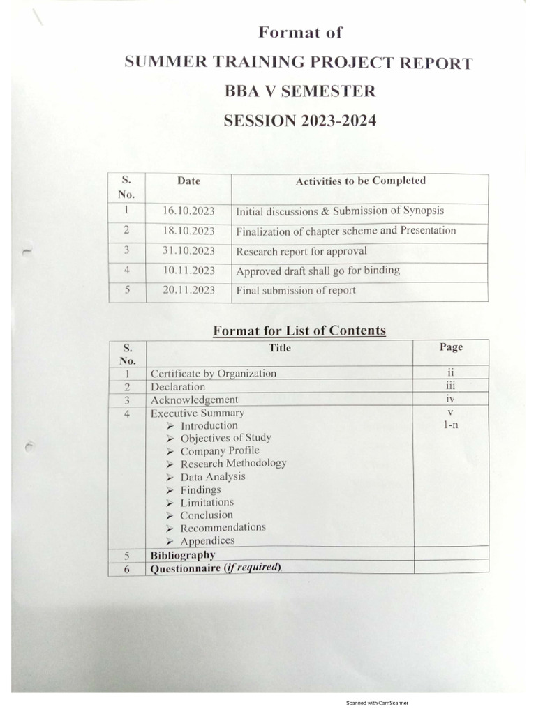 BBA 507 Project Report Guidelines | PDF