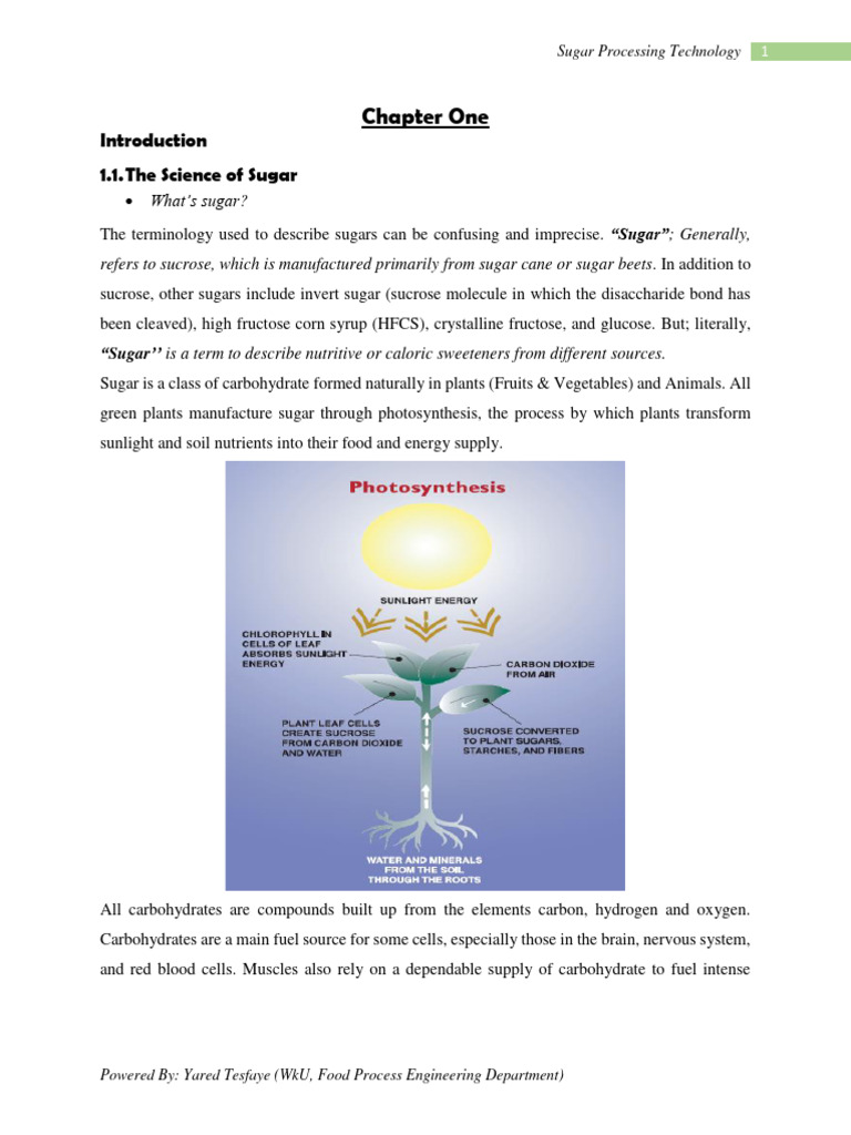 Sugar Processing Overview and Benefits | PDF | Fructose | Glucose
