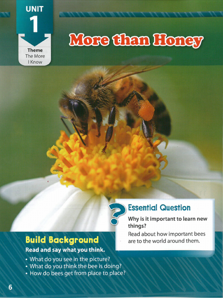 Wonderskills Reading Advanced 1-Unit 1.pdf 的副本 | PDF