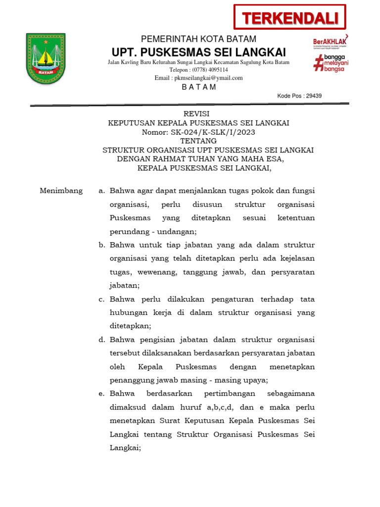 Struktur Organisasi Puskesmas | PDF