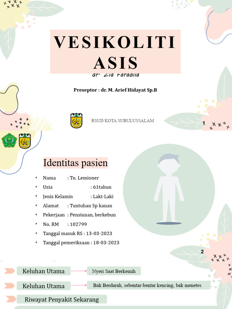 Laporan Kasus Vesicolithiasis Bedah | PDF