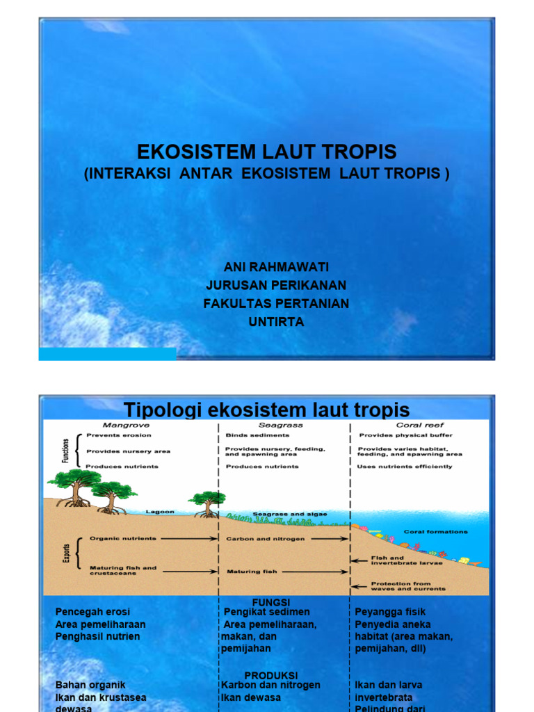 Interaksi Antar Ekosistem Laut Tropis 19 11 2015 | PDF