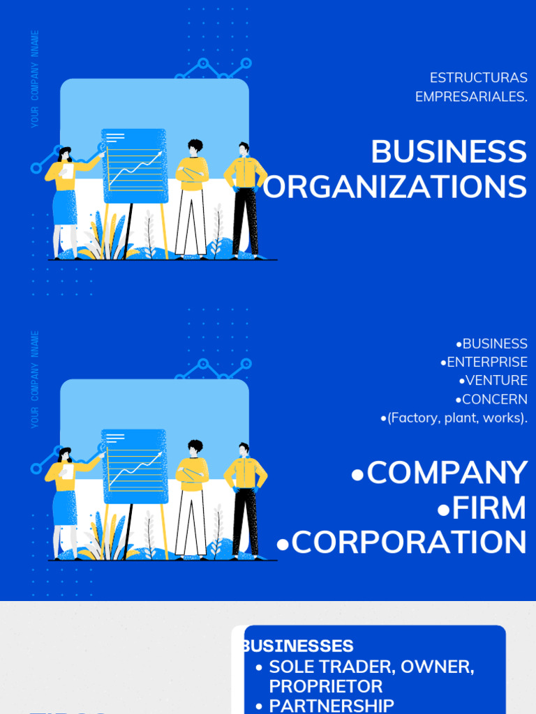 Business Organizations | PDF | Corporaciones | Mercados financieros