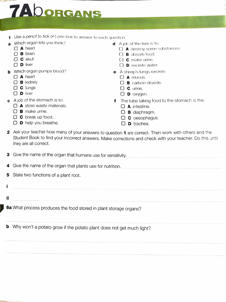 Exploring Science 7ab - Organs | PDF