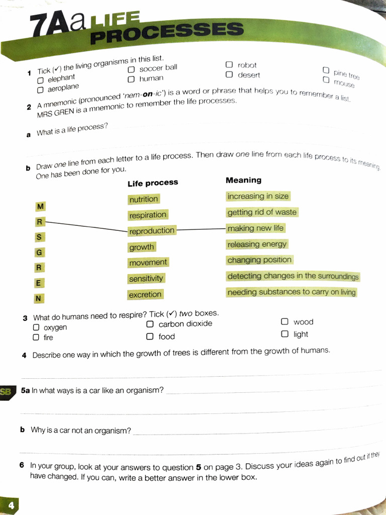 Understanding MRS GREN Life Processes | PDF | Nature