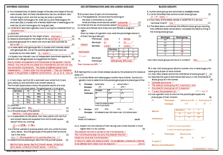 Dihybrid Cross and Blood Type Genetics | PDF | Dominance (Genetics ...