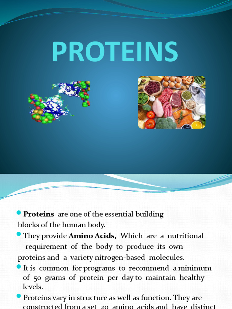Protein | PDF | Proteins | Amino Acid