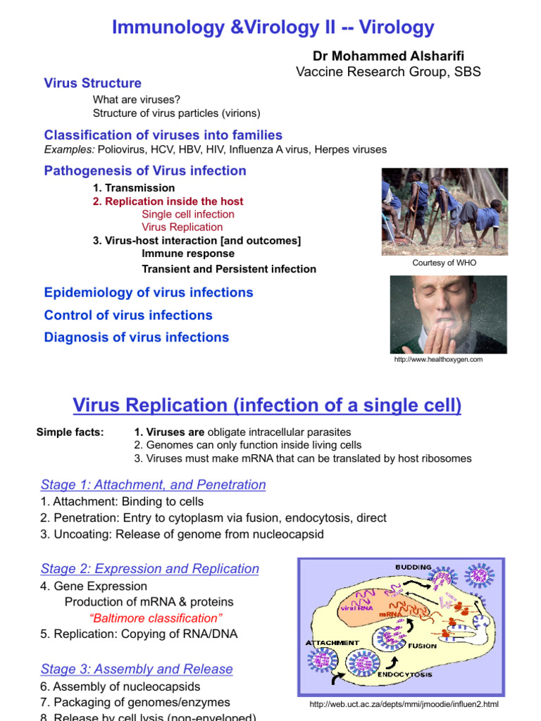 Virus Structure and Replication Overview | PDF | Virus | Hiv