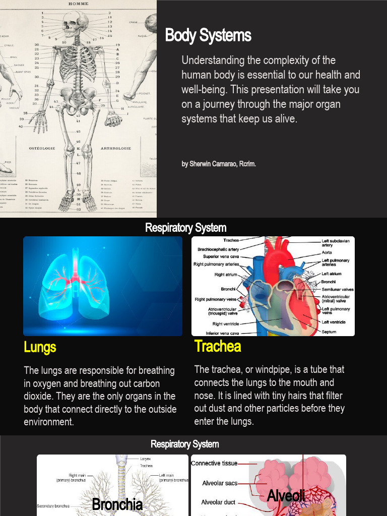 Body Systems | PDF | Human Body | Lung