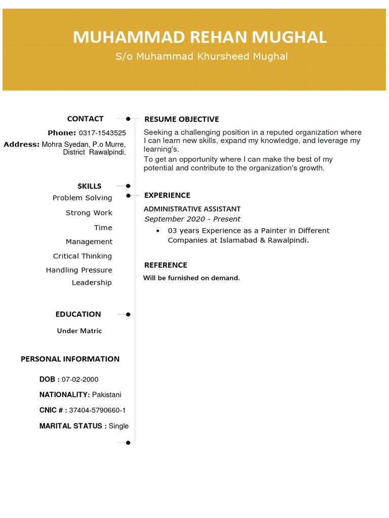 M Rehan Mughal CV | PDF