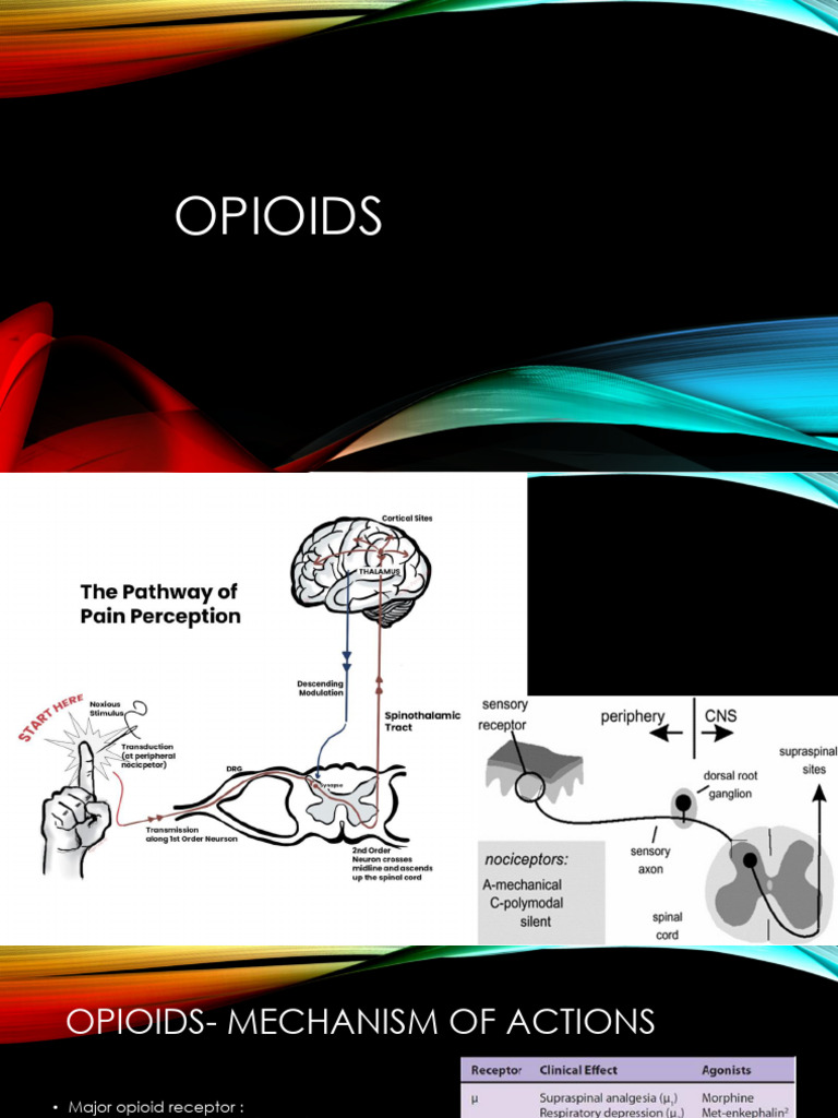 Opioids Medical | PDF | Analgesic | Opioid
