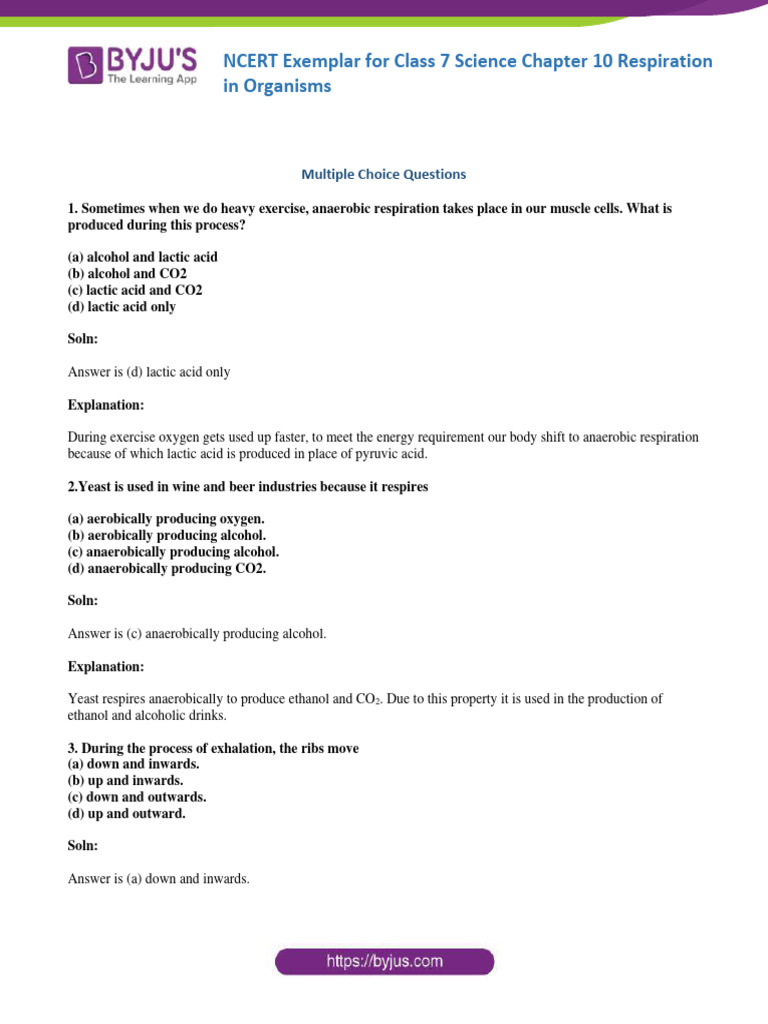 NCERT Exemplar: Class 7 Respiration | PDF | Breathing | Respiratory System
