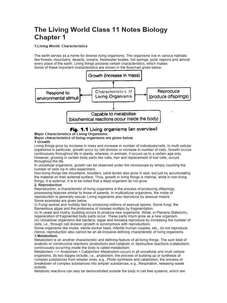 The Living World Class 11 Notes Biology Chapter 1 | PDF | Taxonomy ...
