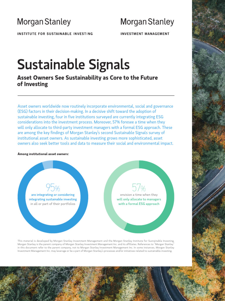 Morgan Stanley - Sustainable Signals Asset Owners - FINAL | PDF | Investment Management ...