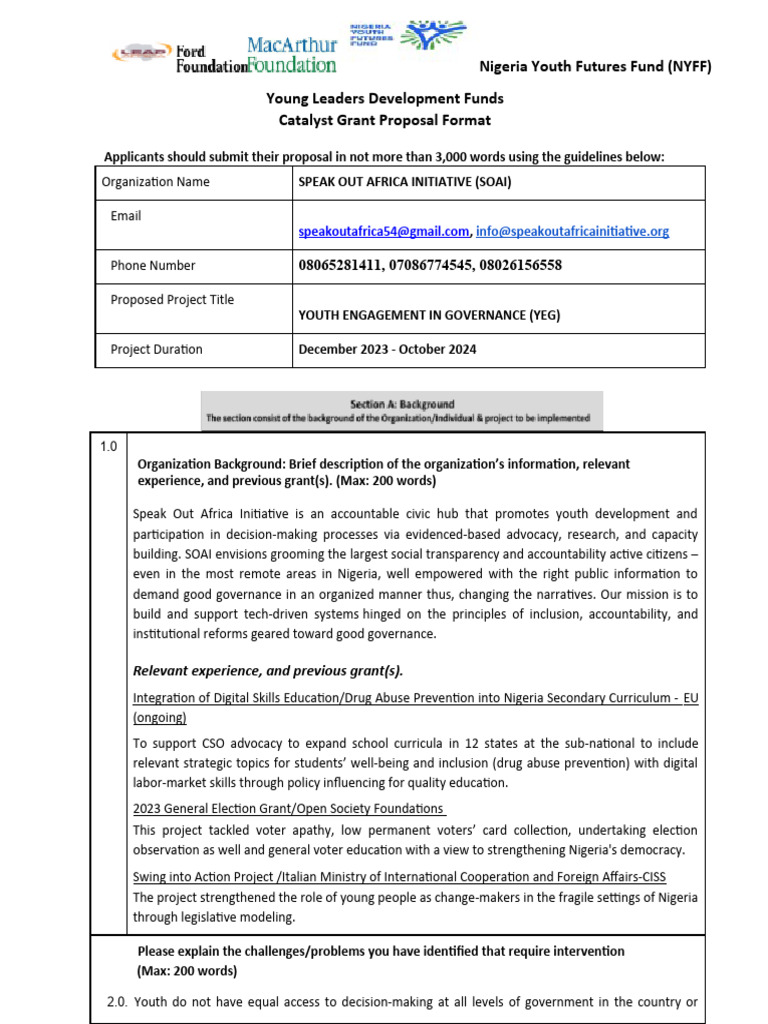 NYFF-YLDF 2023 - 2024 Proposal Template (Catalyst Grantee Cat.) | PDF | Governance | Empowerment