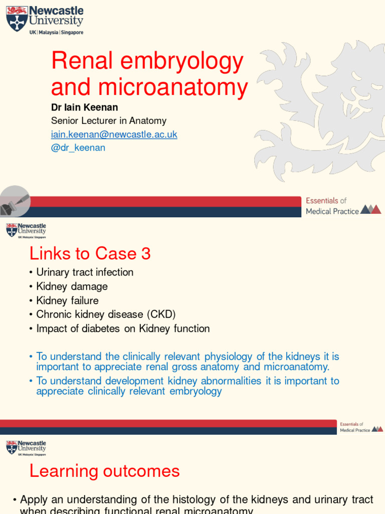 Case 3 Embryology and Microanatomy of The Kidneys (Lecture Slides ... Case 3 Embryology and Microanatomy of The Kidneys (Lecture Slides ...