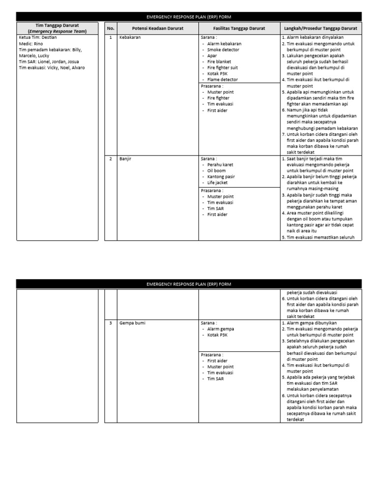 Form ERP | PDF