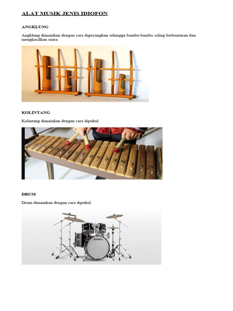 Jenis Alat Musik dan Cara Memainkannya | PDF