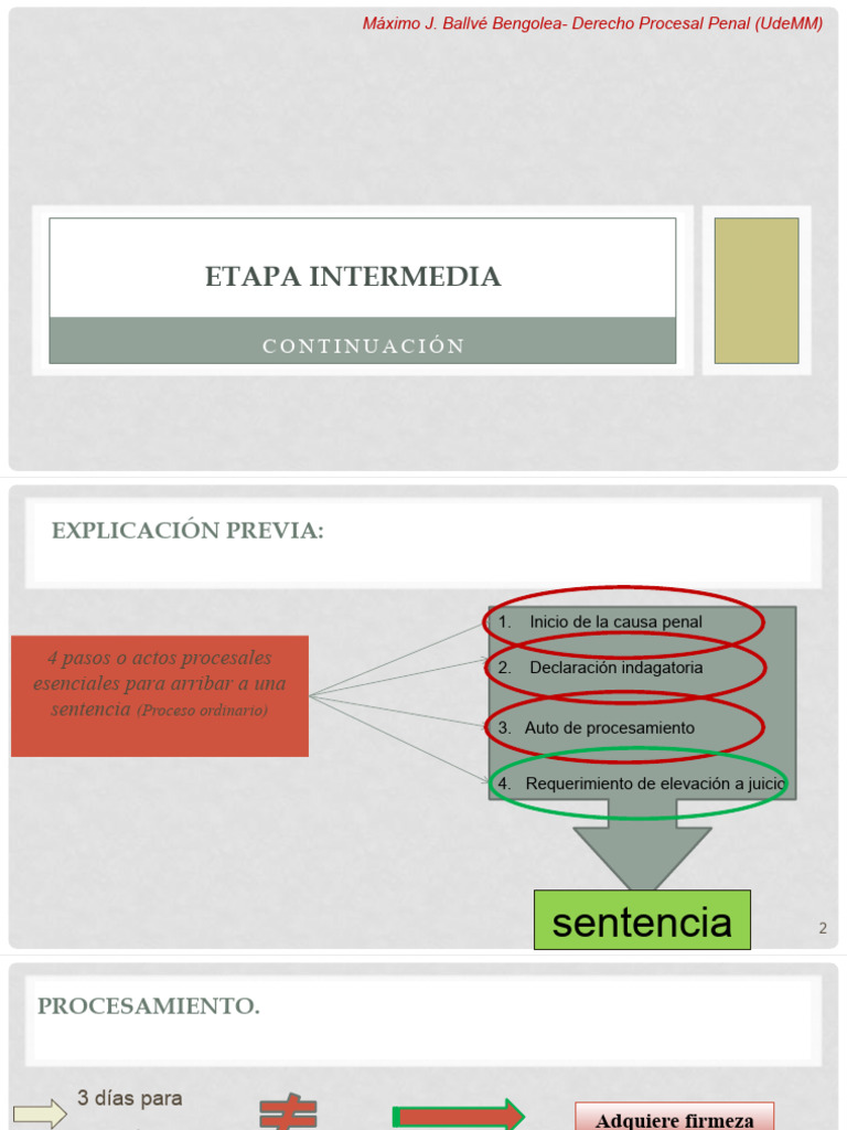 Etapa Intermedia Requerimiento De Elevación A Juicio Pdf Queja