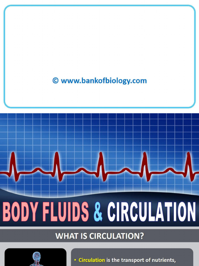 18 Body Fluids N Circulation | PDF