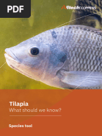 Tilapia Farming Techniques and Tips | PDF | Aquaculture