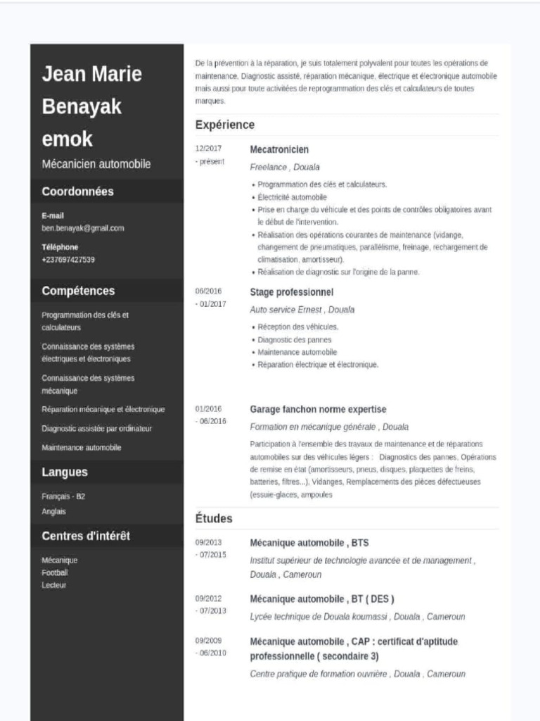 CV Ben | PDF