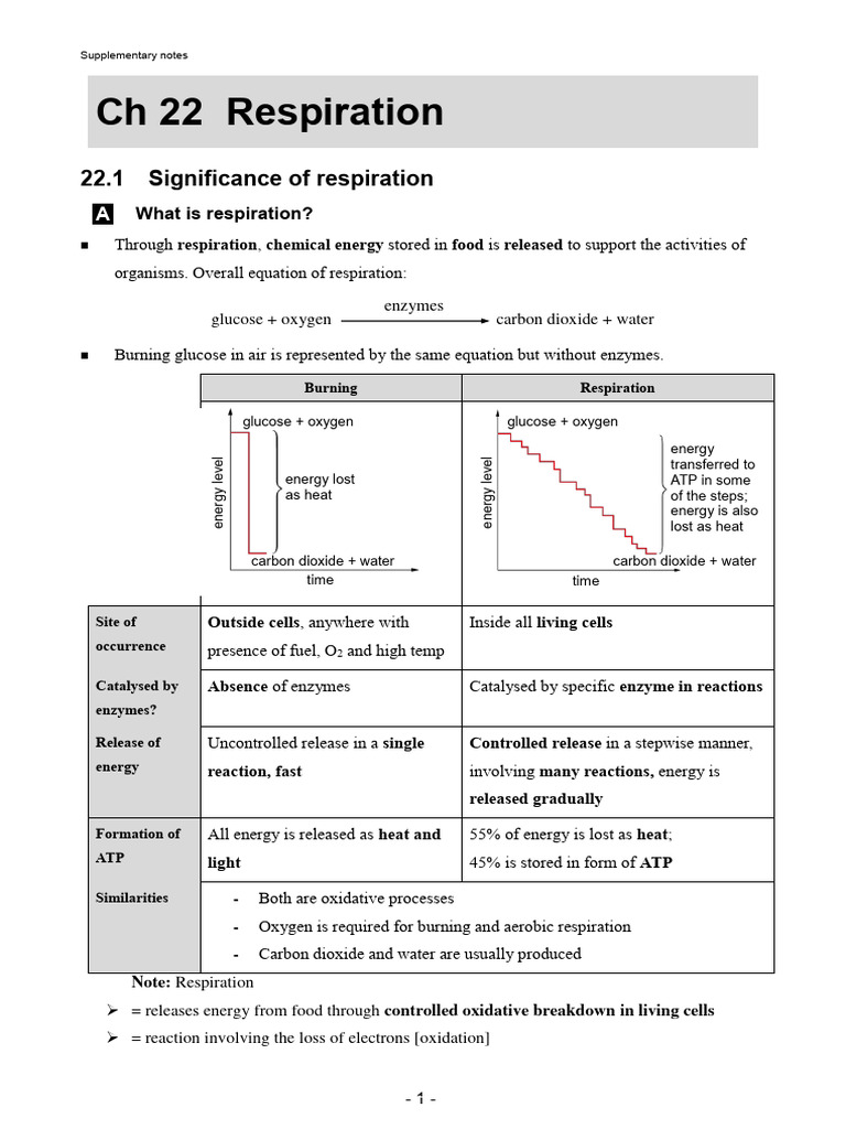 Ch21 Respiration | PDF | Diet & Nutrition | Chemistry
