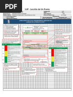 Guia para El Llenado de Una Lup | PDF