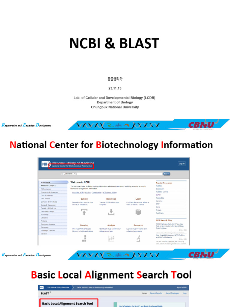 NCBI Blast | PDF