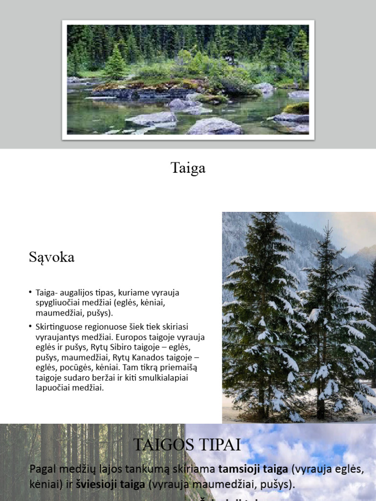 Taiga | PDF