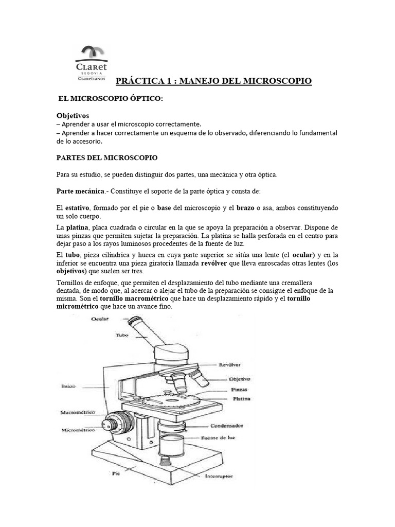 Practica 1 Manejo Del Microscopio | PDF | Lente de la cámara | Óptica