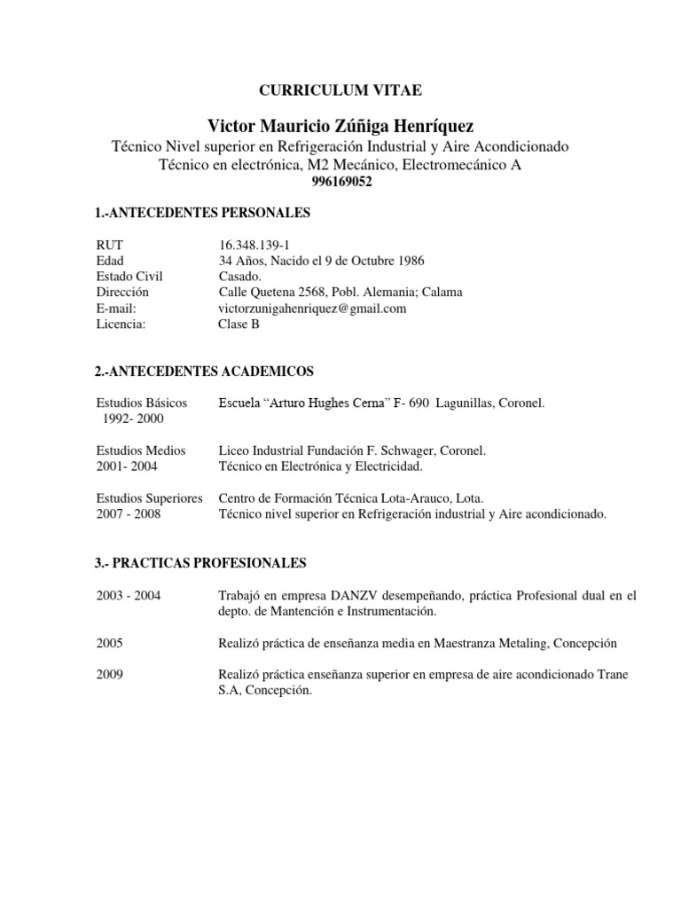 Curriculum Vitae Victor | PDF