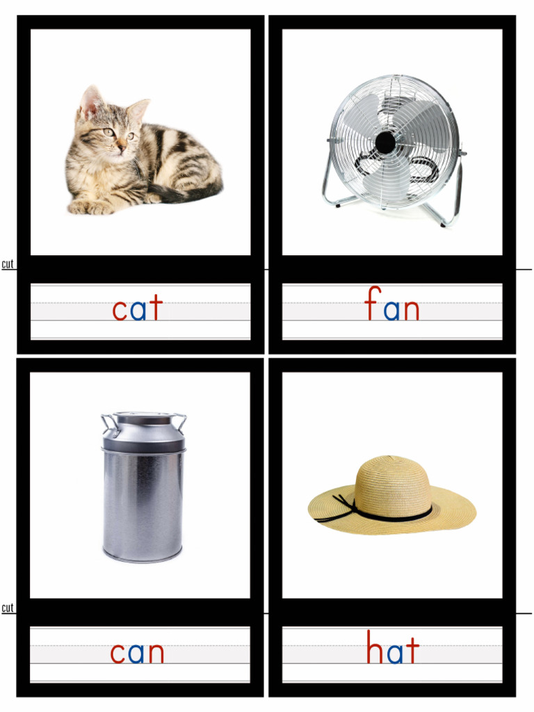 Montessori Primary Language 3 Part Cards CVC Reading | PDF