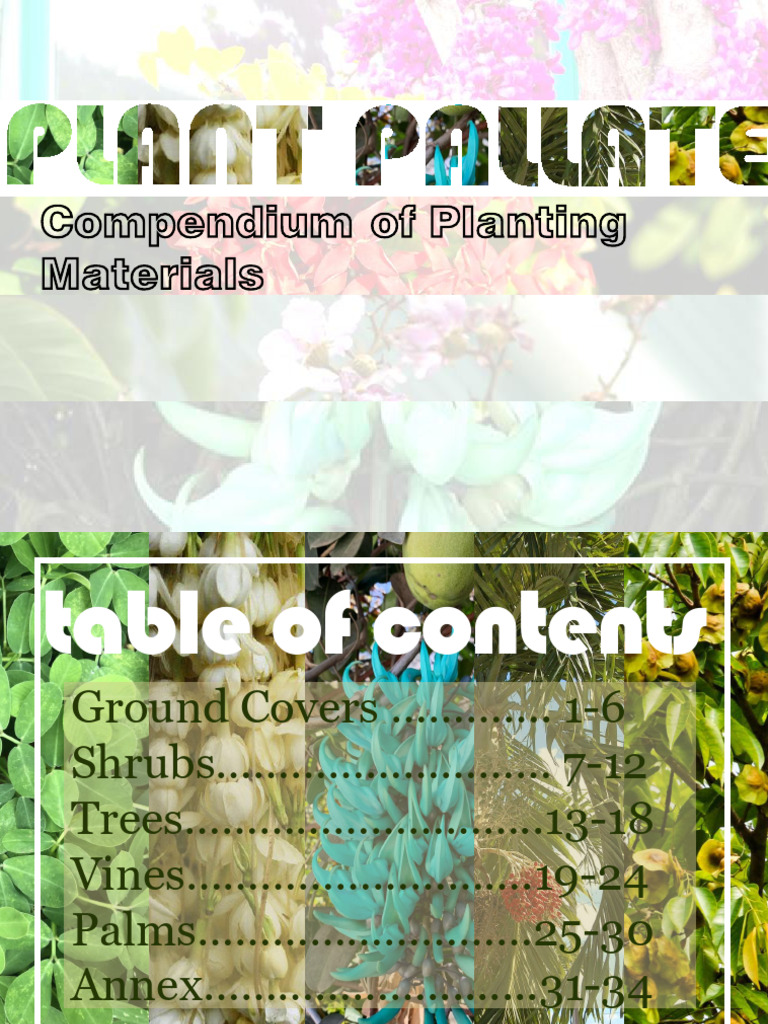 Plant Pallate | PDF | Trees | Shrub