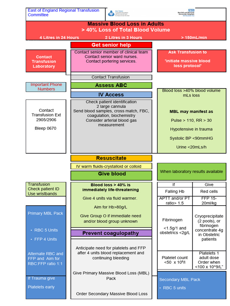 Massive Blood Loss Protocol Adult | PDF | Blood Transfusion | Blood
