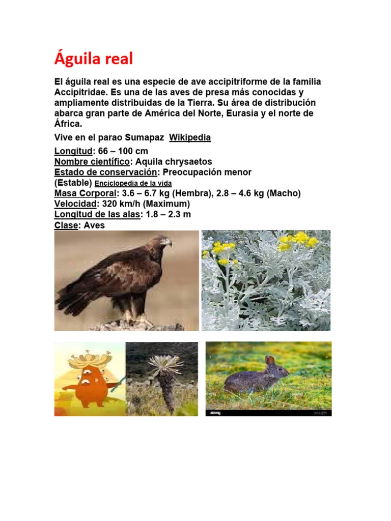 Águila Real | PDF