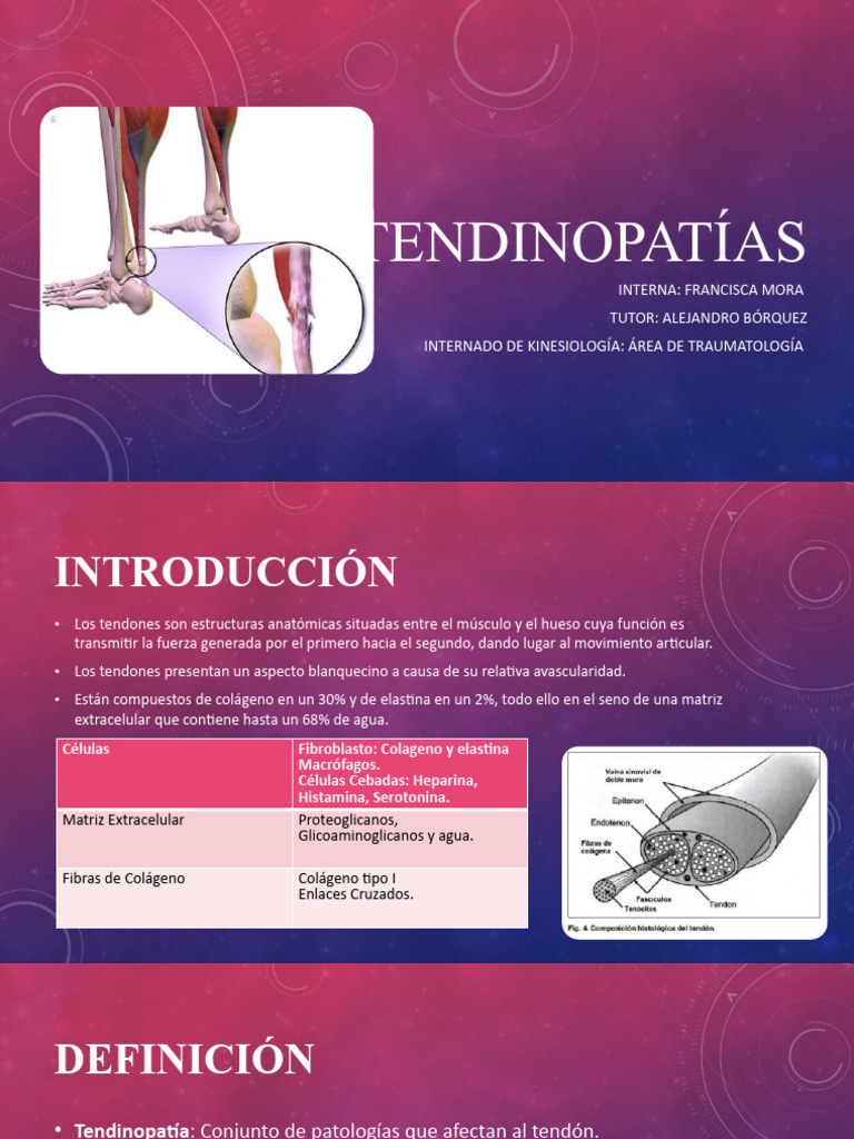 Tendinopatias | PDF | Tendón | Enfermedades y trastornos