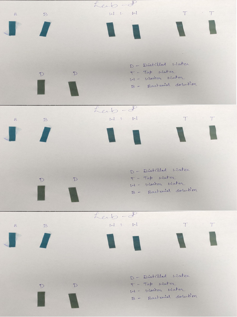 Bio Lab 8 Photo | PDF