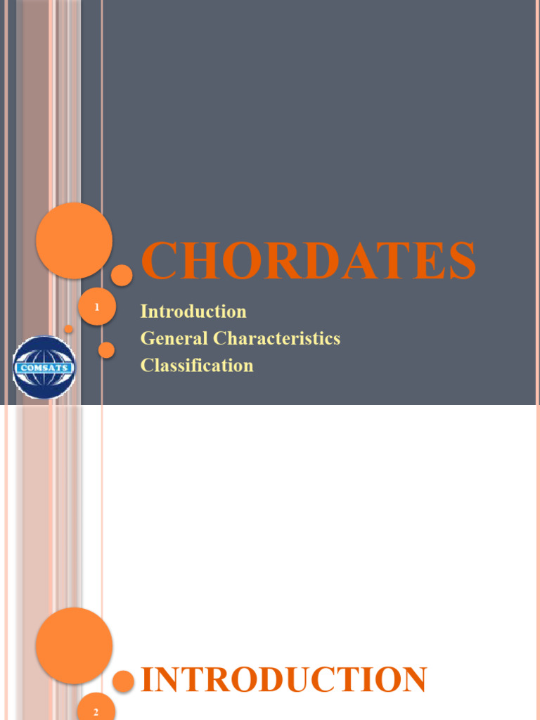 Classification of Chordates Overview | PDF | Vertebrates | Gill