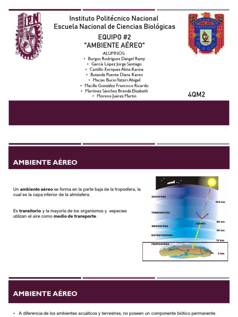 Características del Ambiente Aéreo | PDF | Entorno natural | Atmósfera