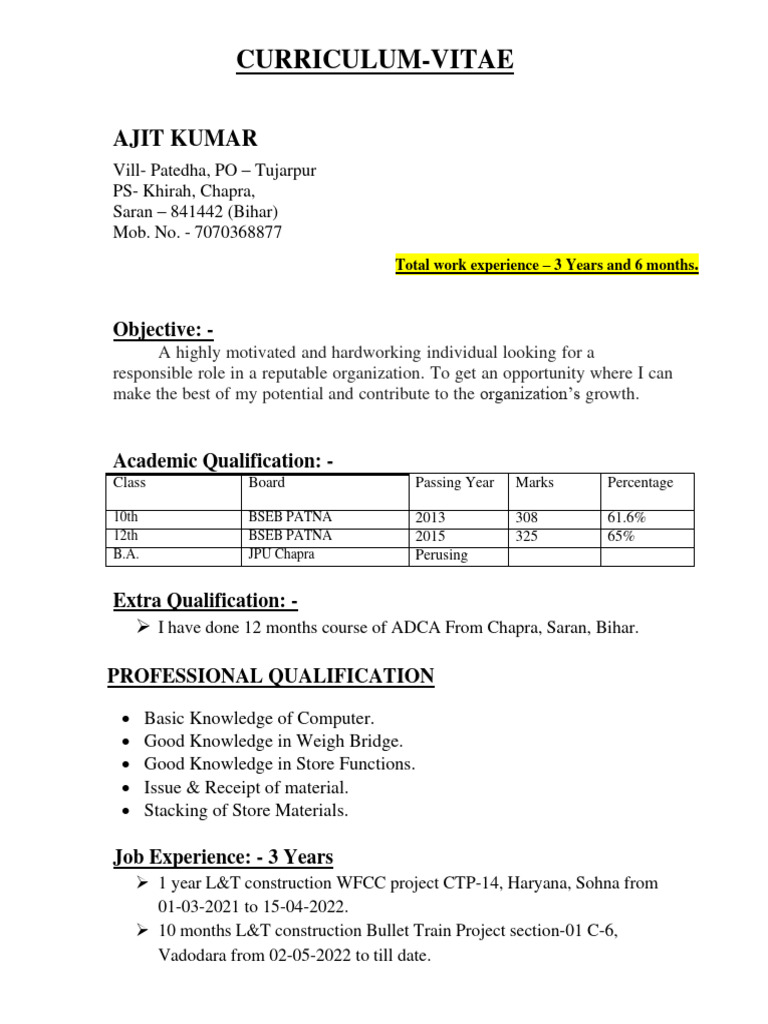 Ajit Kumar's Professional CV | PDF