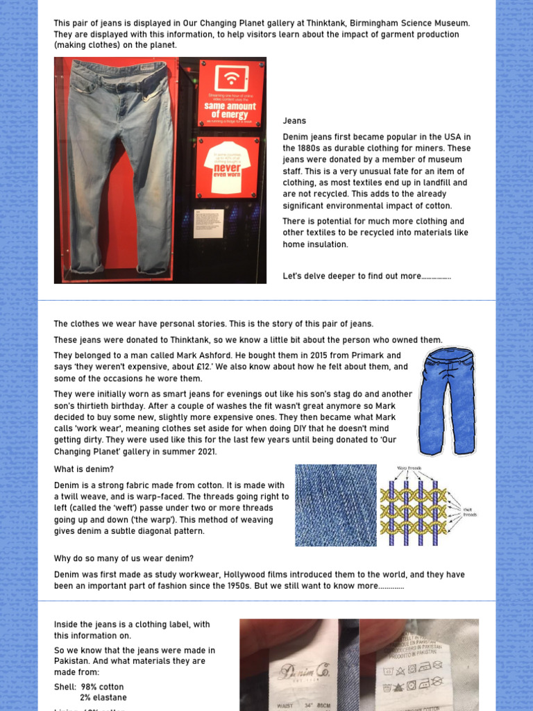 Jeans Case Study | PDF | Jeans | Clothing